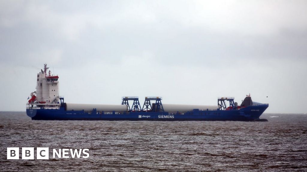 Ship docks at Great Yarmouth port after stowaways found - BBC News