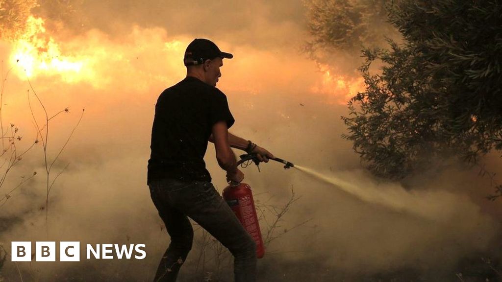 Greece wildfires: 'It's like a horror movie but it's real life' - BBC News