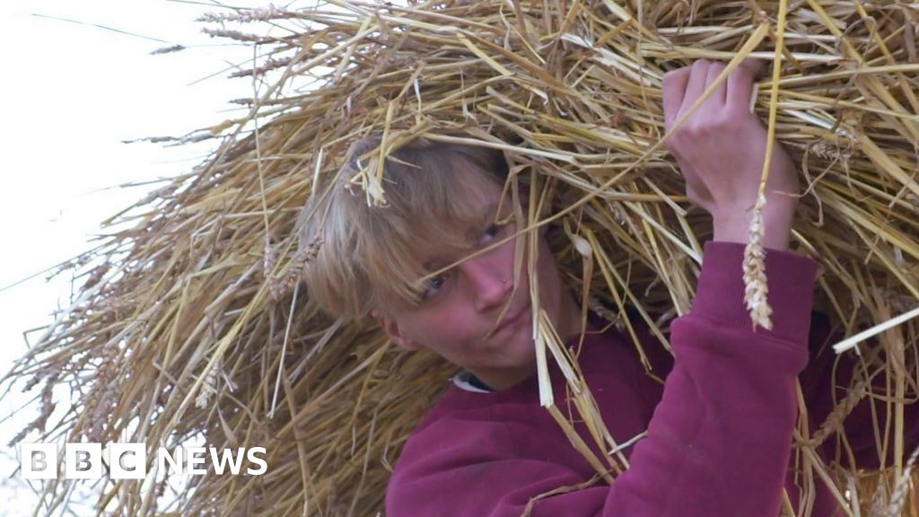 Thatching: Suffolk teenager looks to future-proof an art form - BBC News
