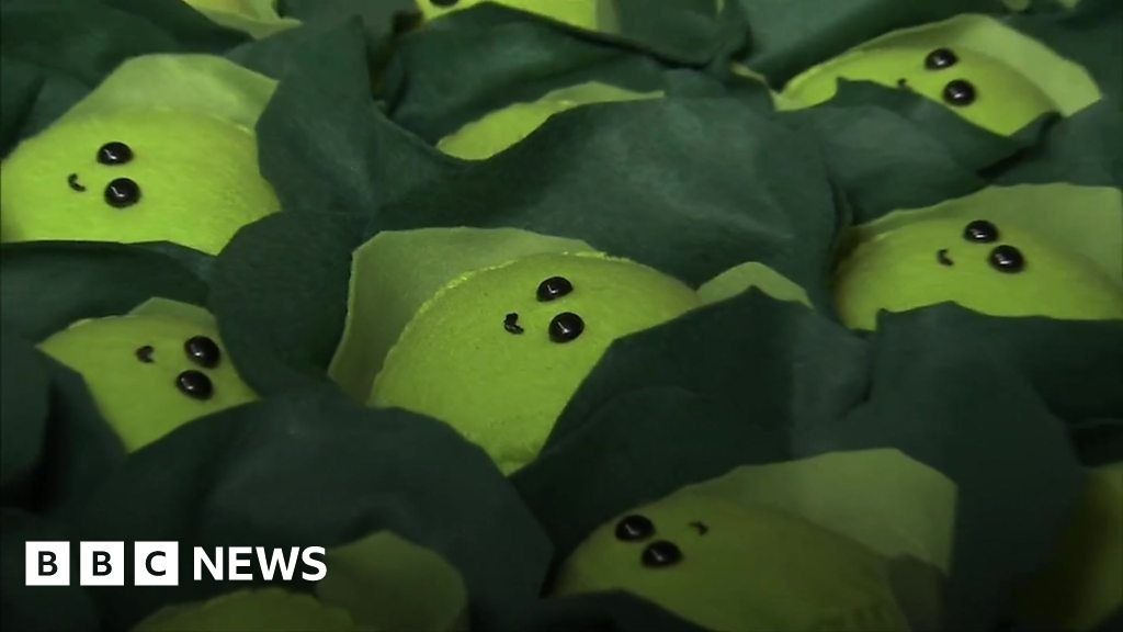 The sewn supermarket - BBC News