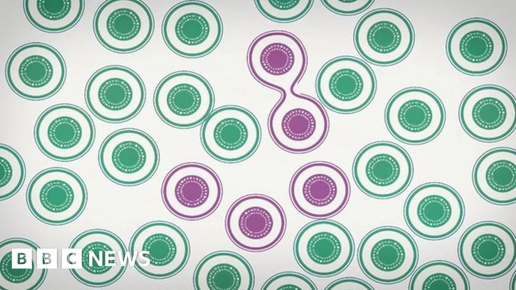 Are we fighting cancer the right way? - BBC News