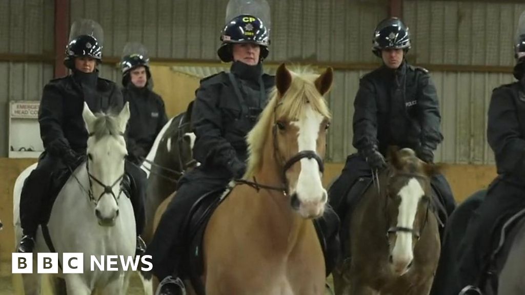 City of London: How to train a police horse