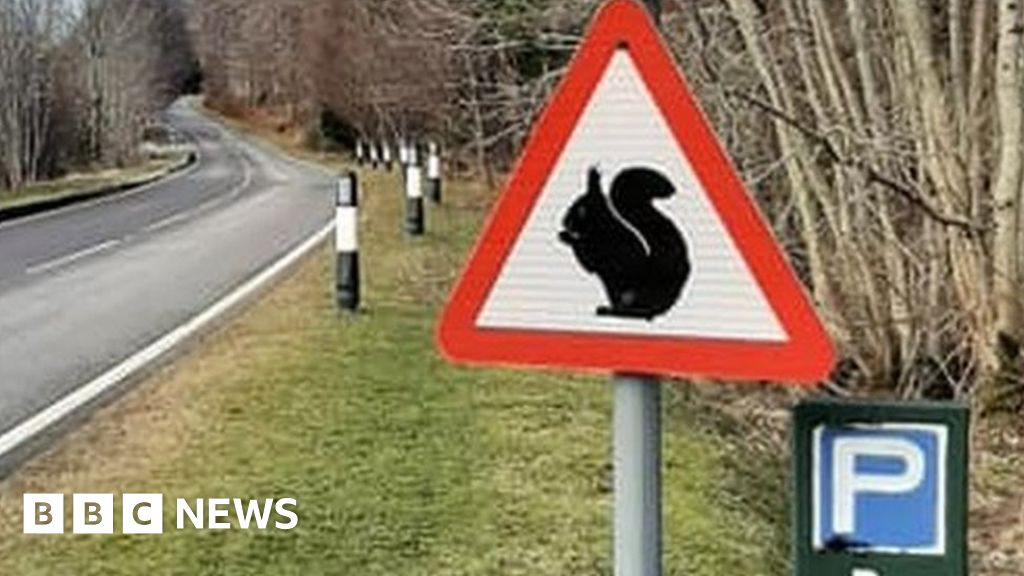 Ullapool's squirrel and otter safety signs 'stolen' - BBC News