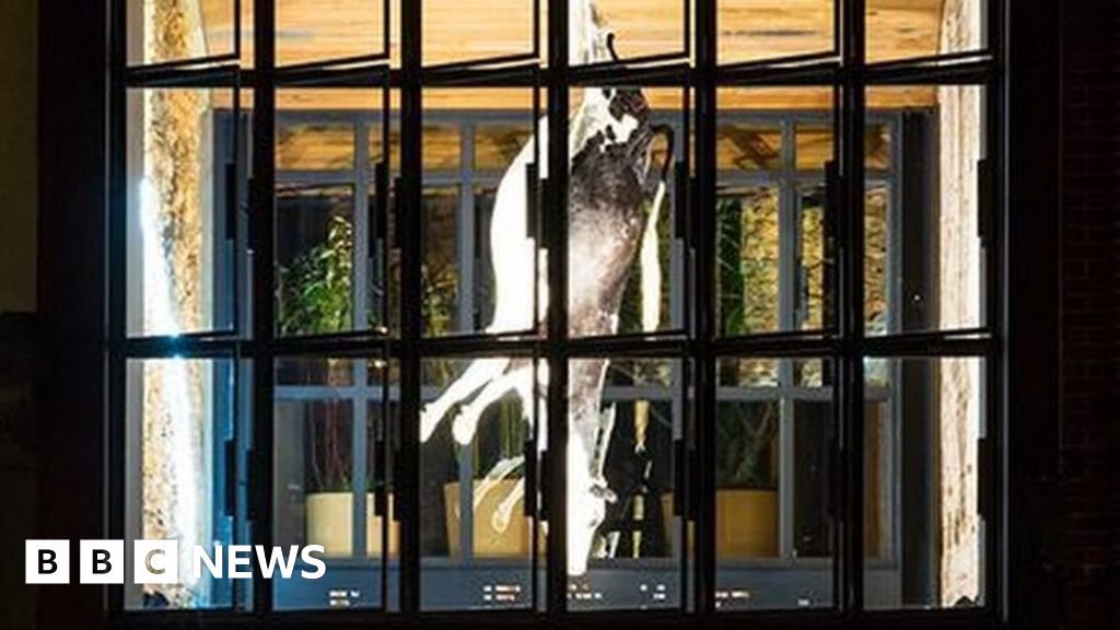 Australian restaurant draws controversy over hanging cow