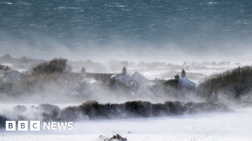 News Daily: Extreme weather continues and May in Brexit talks - BBC News