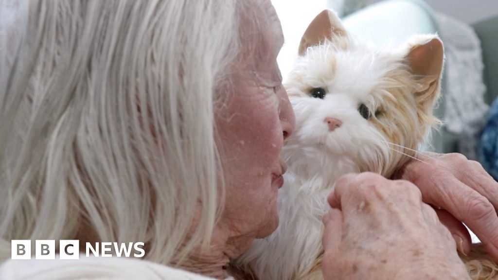 Marmalade the robotic cat brings joy to Morpeth care home - BBC News