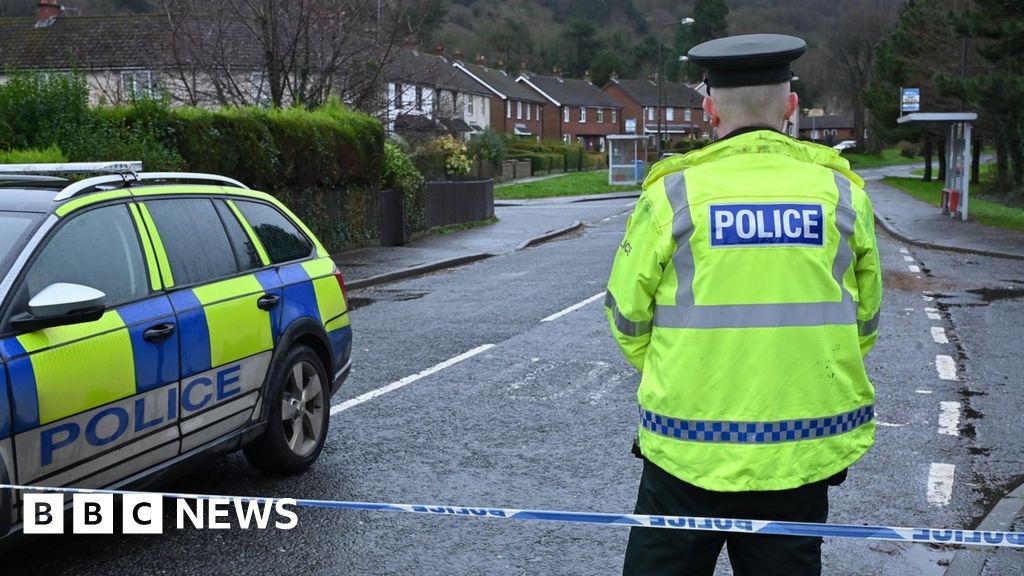 Holywood: Security alert ends after object thrown at house - BBC News