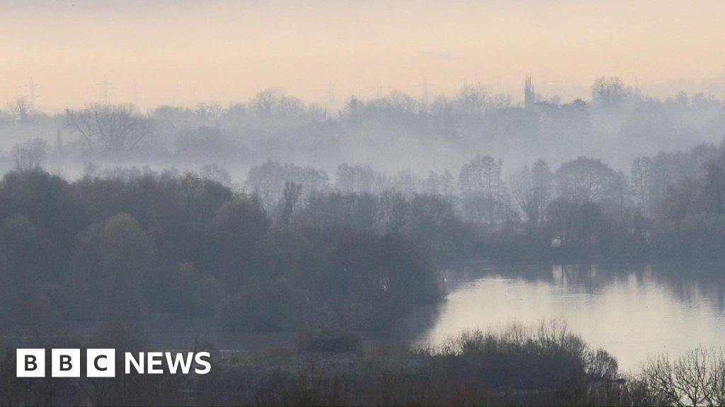 HS2 will devastate wildlife, say campaigners - BBC News