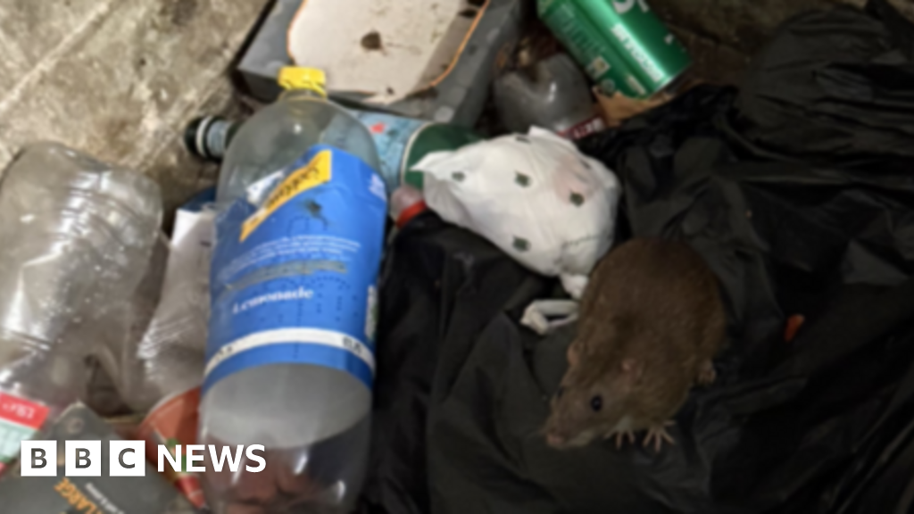 Rat infestation causes months of 'terror' at flats in Hackney