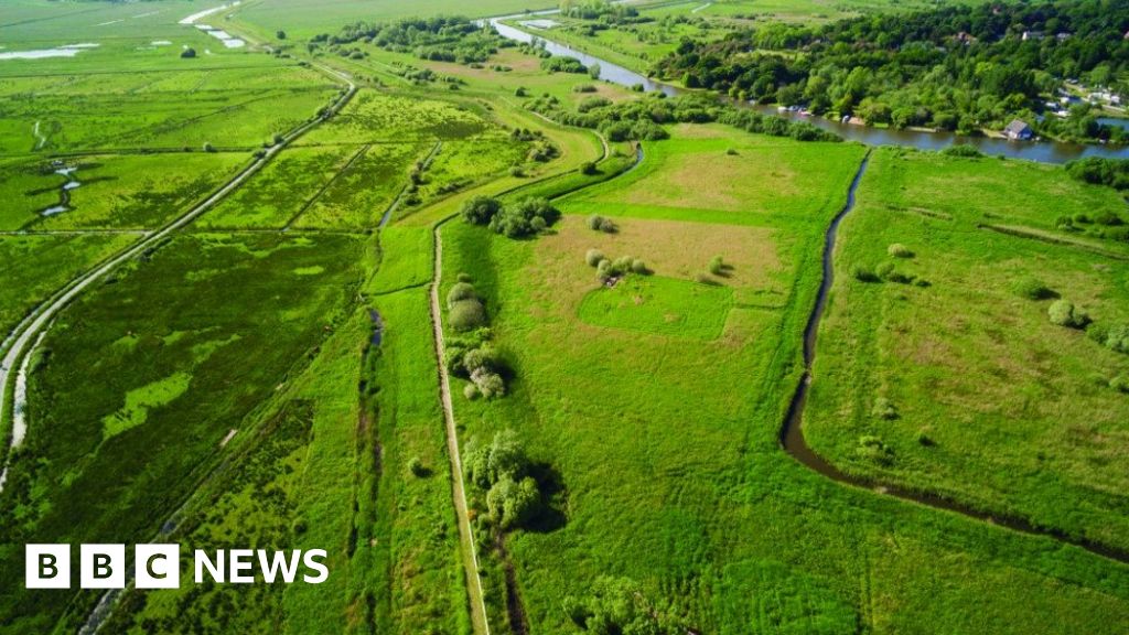 Suffolk Broads: Attenborough backs new nature reserve - BBC News