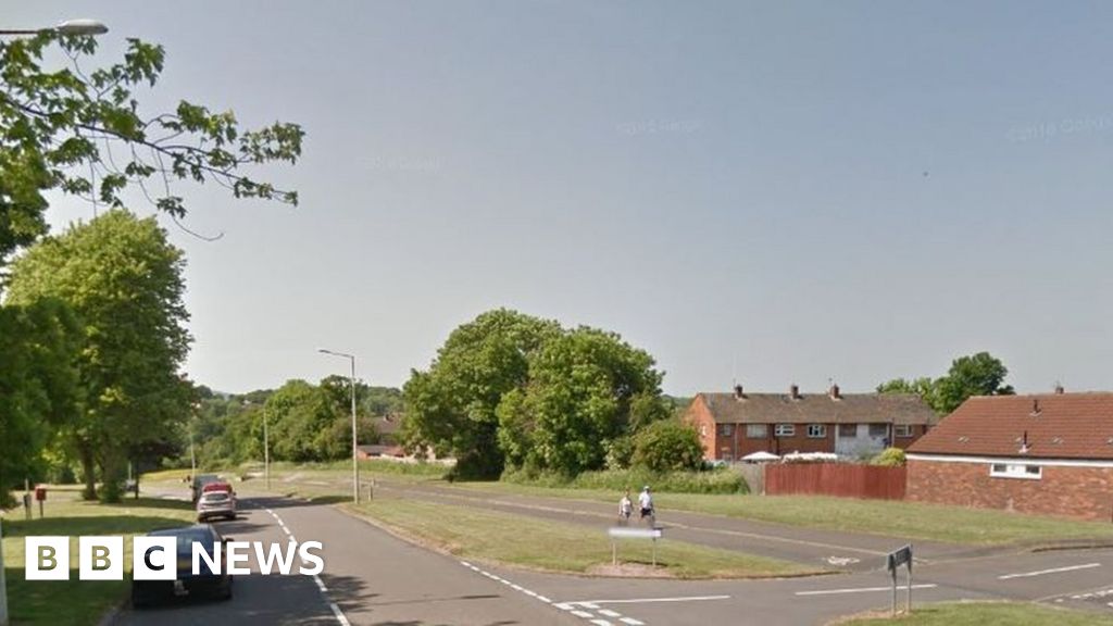 Teenager hit by bus in Sutton Hill named - BBC News