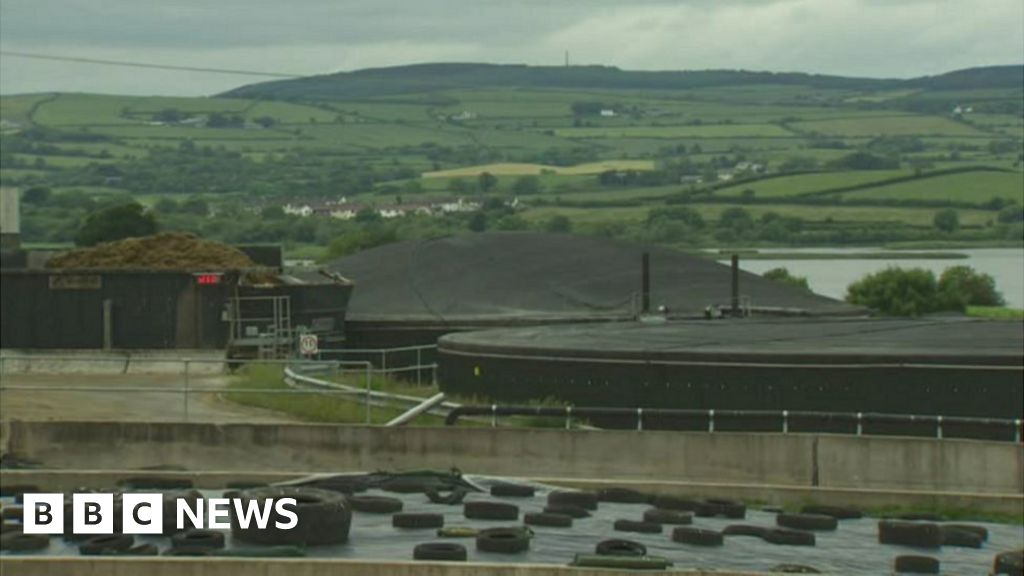 Tyrone green energy plant ordered for removal by council officials ...
