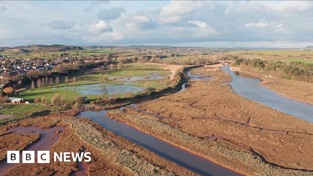 Otter estuary: Historic flood plains to be restored - BBC News