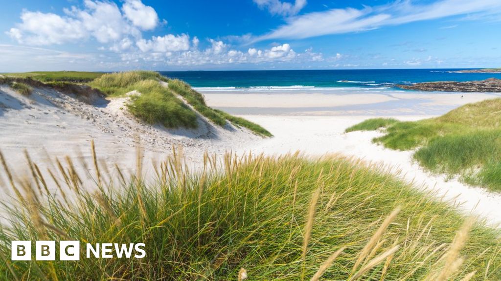 Western Isles' mild oceanic climate may help ticks thrive - BBC News