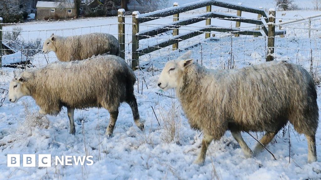 Police warning as 30 sheep die in 'abhorrent' attack