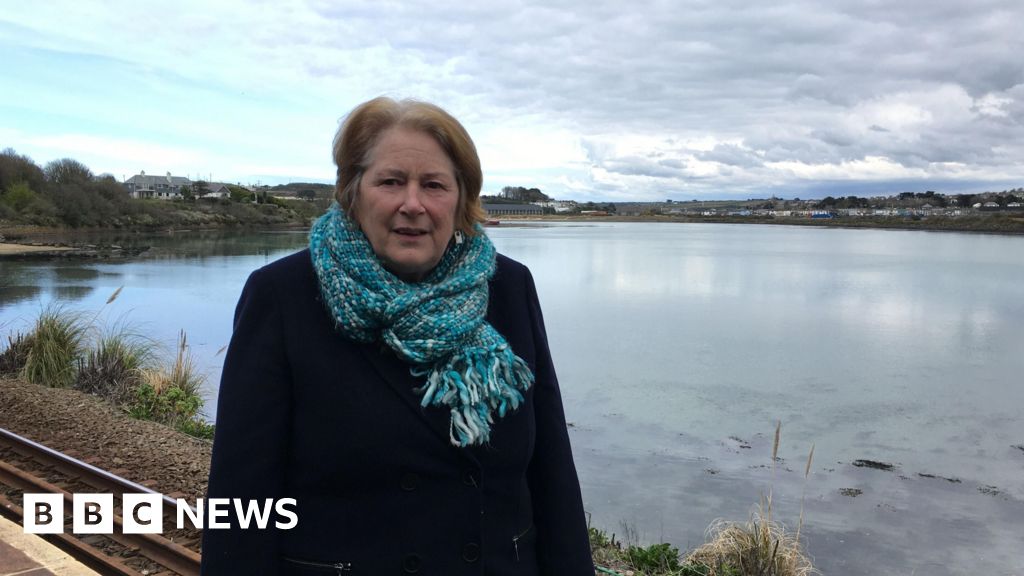 Cornwall Council leader to face vote on leadership - BBC News