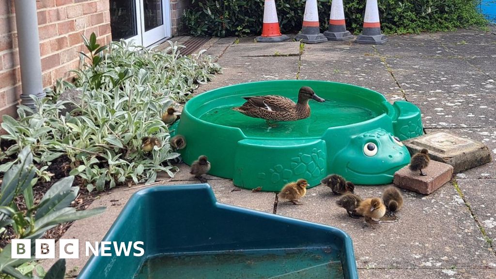 Oxfordshire's Big Picture: 1 April - 7 April 2024 - BBC News