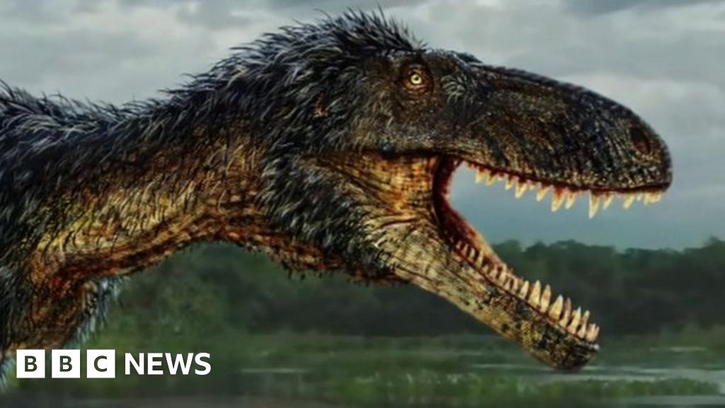 Dinosaur find resolves T. rex mystery - BBC News