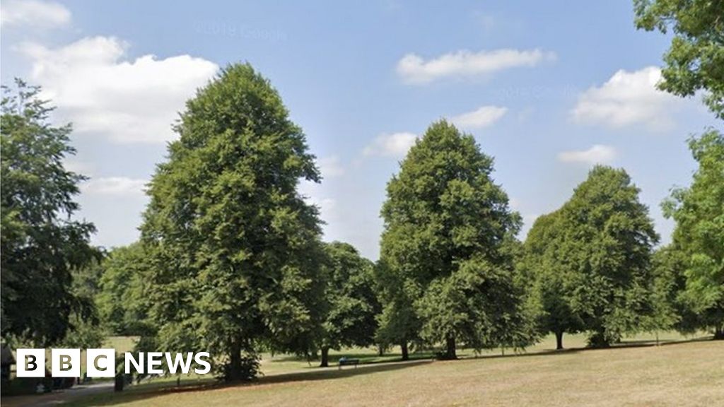 Mass tree-planting in Chippenham to boost park - BBC News