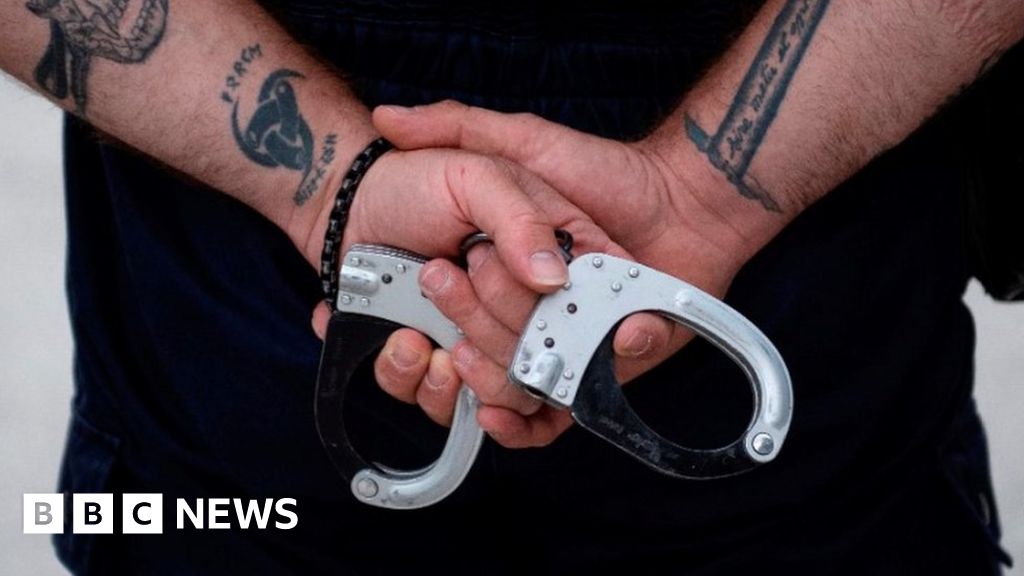 'Insulted' French police stage handcuffs protest - BBC News