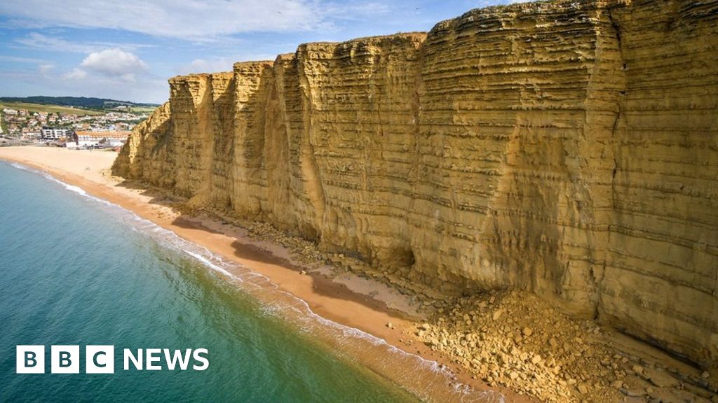 Rock fall hits East Beach on Jurassic Coast - BBC News