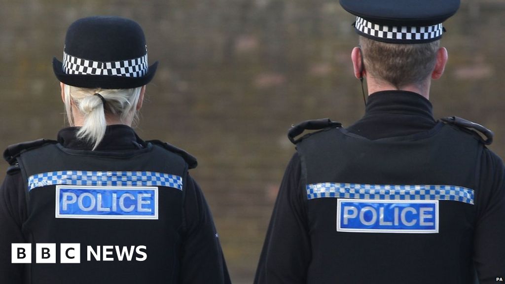 Police set for era of fundamental change - BBC News