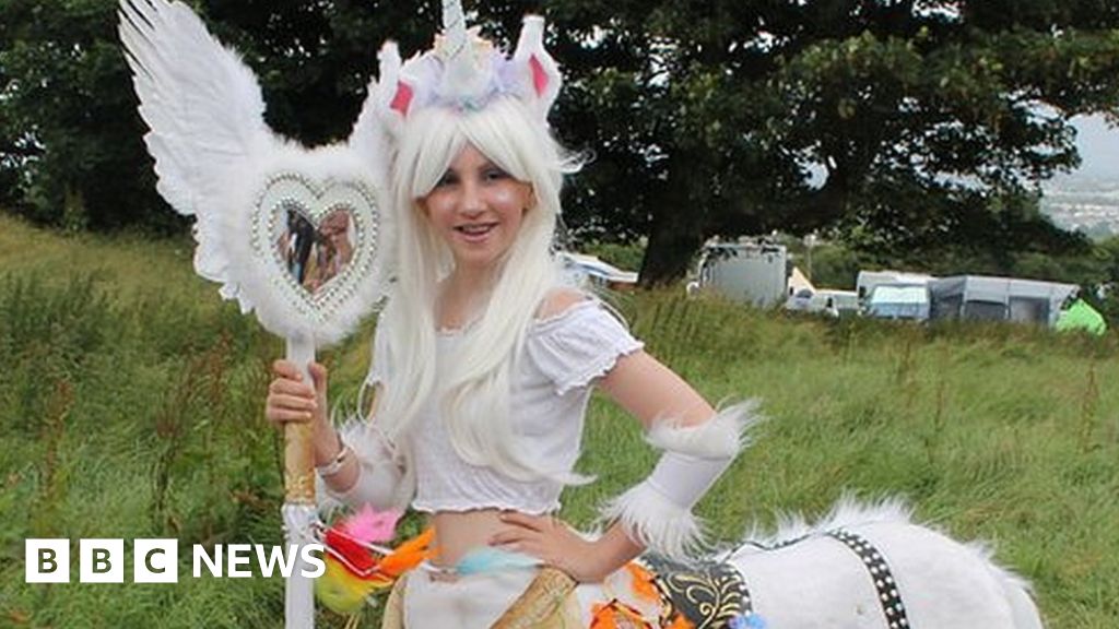 Somerset Levels gets green light to host fairy festival - BBC News
