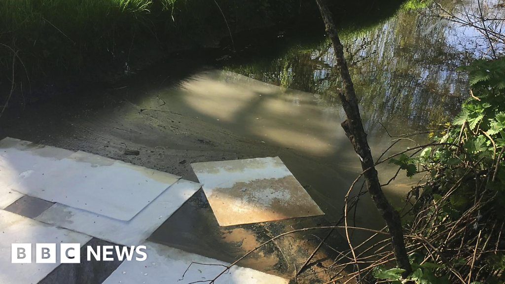 Swindon's River Cole polluted by old engine oil - BBC News
