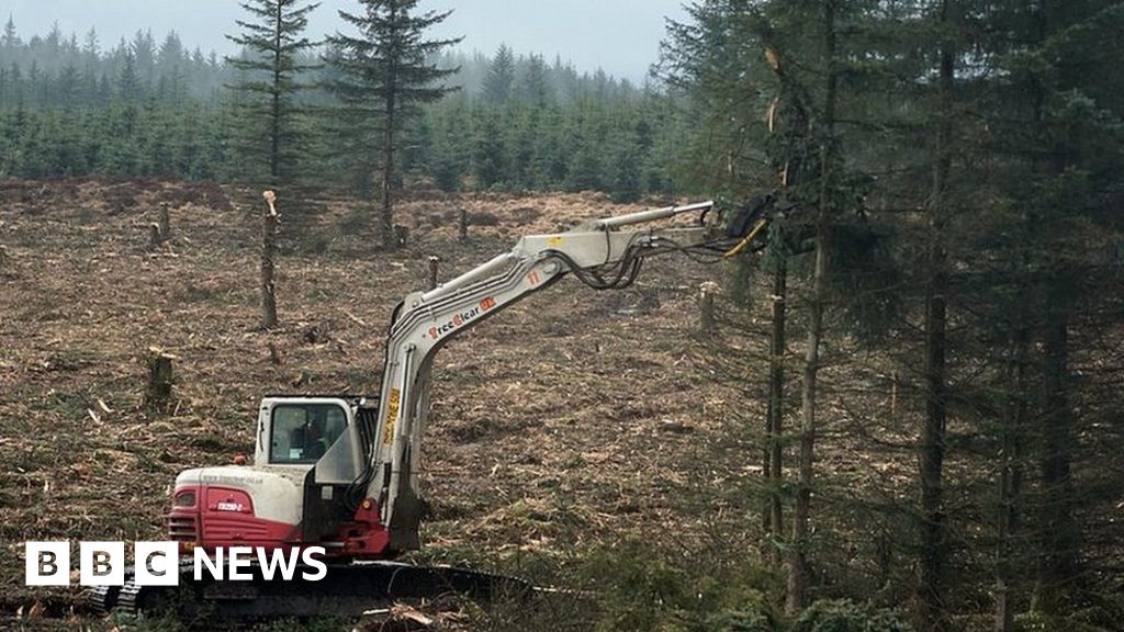 Climate change: Border Mires 'tree mulchers' aid bog restoration