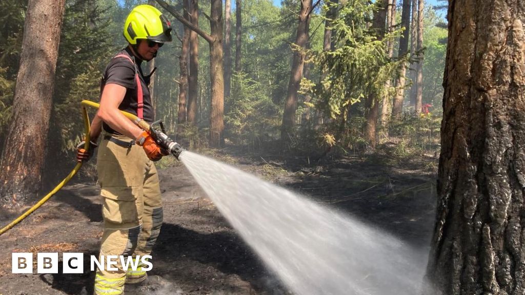Wildland Firefighter Uk