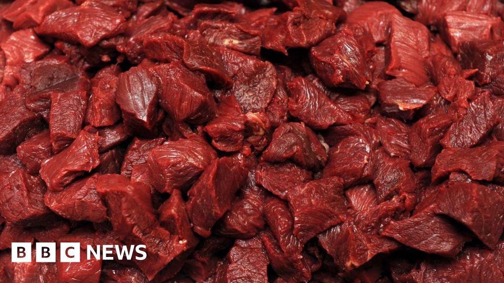 Horsemeat plot exposed by equine ID chips in beef, court told