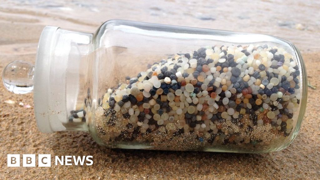 Who are the nurdle hunters on Britain's beaches? - BBC News
