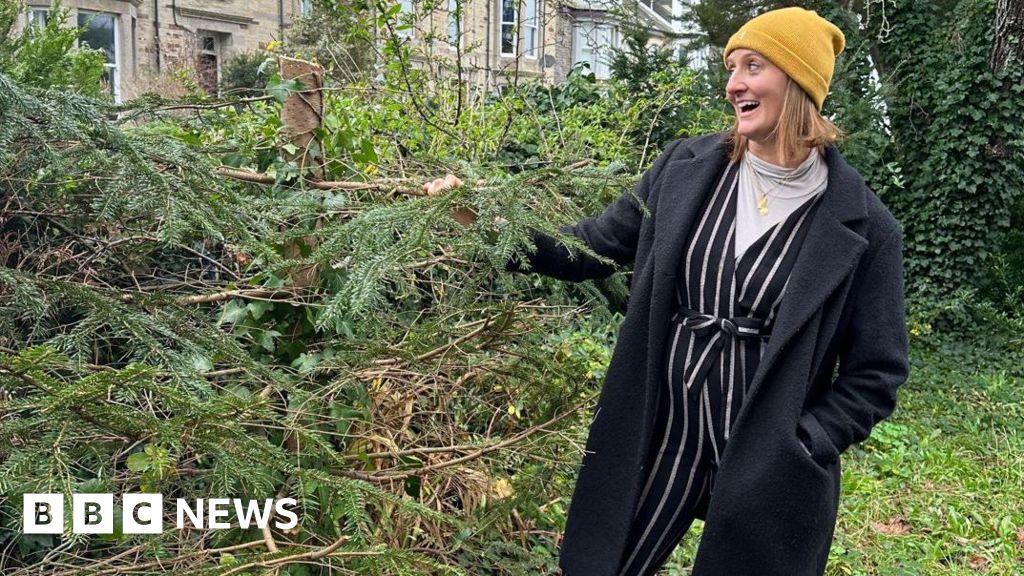 Thief cuts down and takes tree from woman's garden in Wadebridge - BBC News