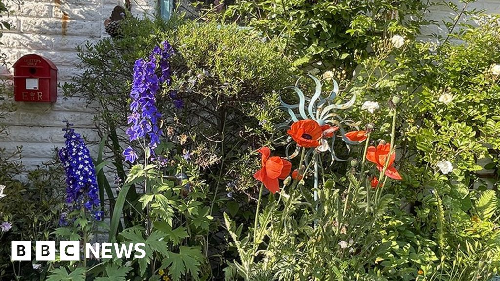 Get Into Nature: BBC urges people to celebrate the wild in June - BBC News