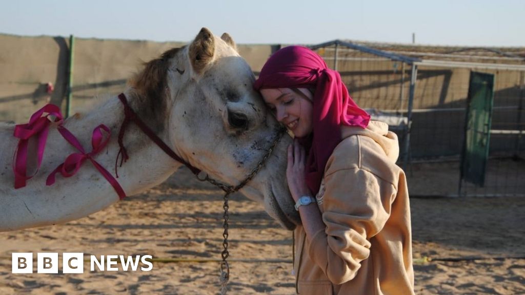Dubai: The Irish art teacher racing camels in the desert - BBC News