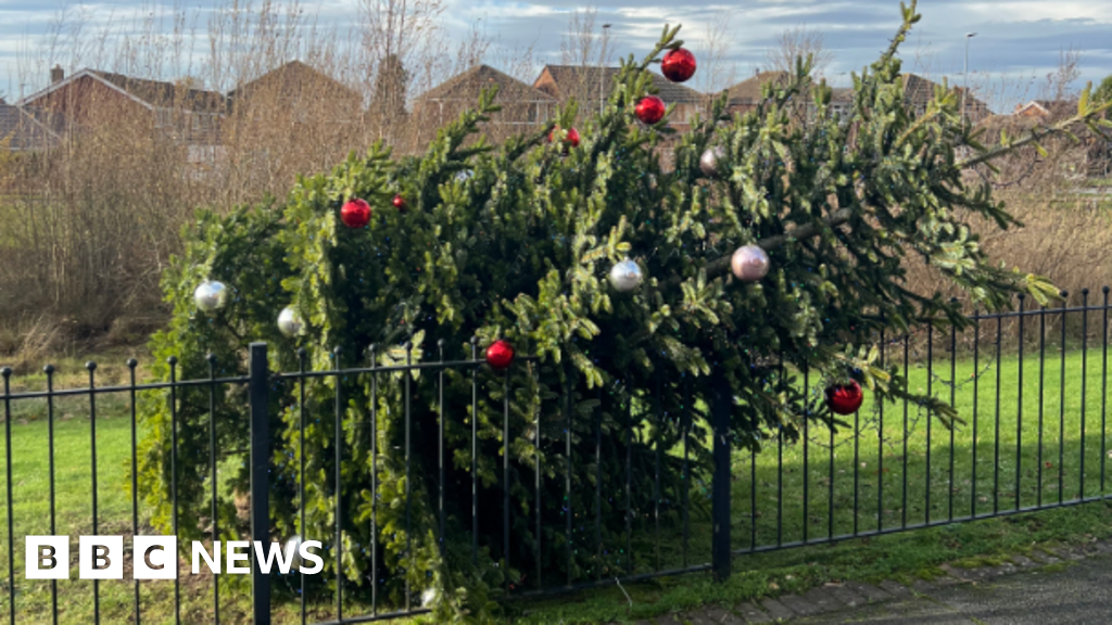 Hunt for vandals who felled village Christmas tree