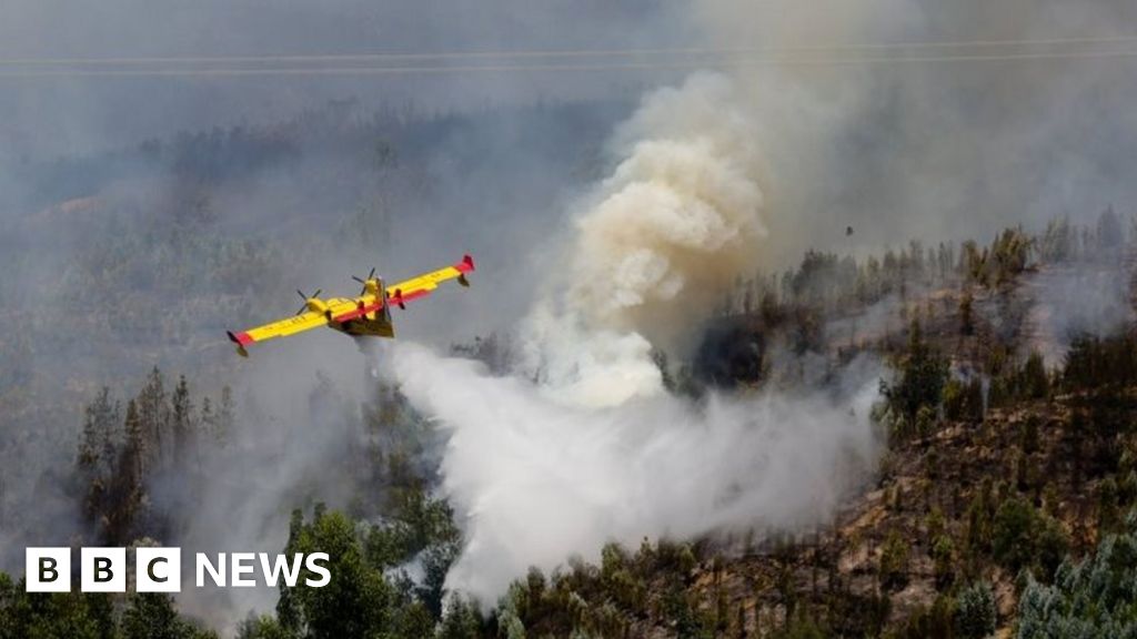 Portugal forest fires: Three days of mourning for 62 victims - BBC News