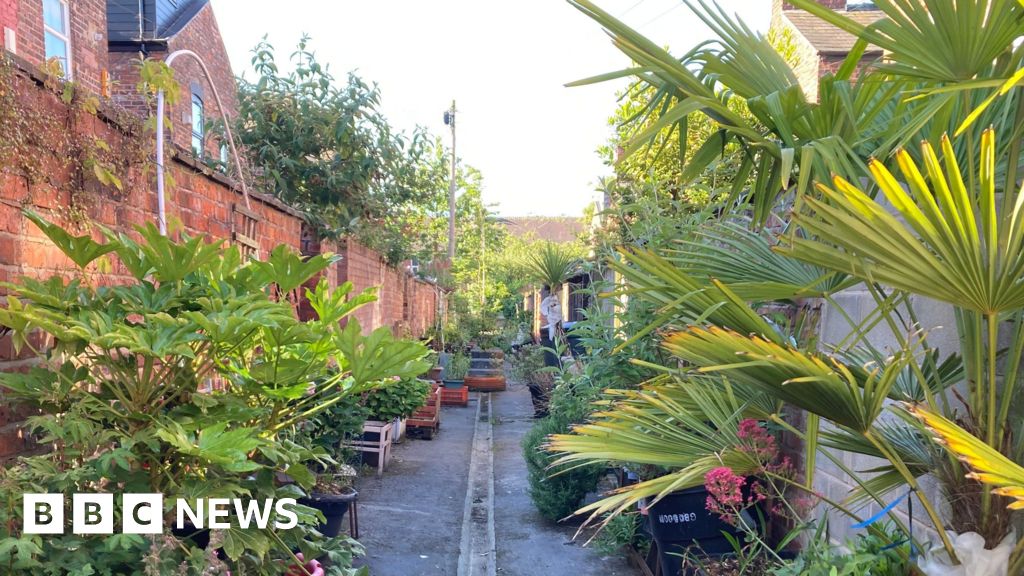 'Other side of Moss Side' revealed on alleys walking trail
