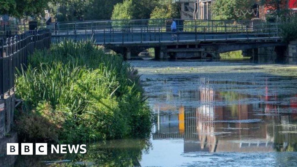 York floating garden plans would create wildlife haven
