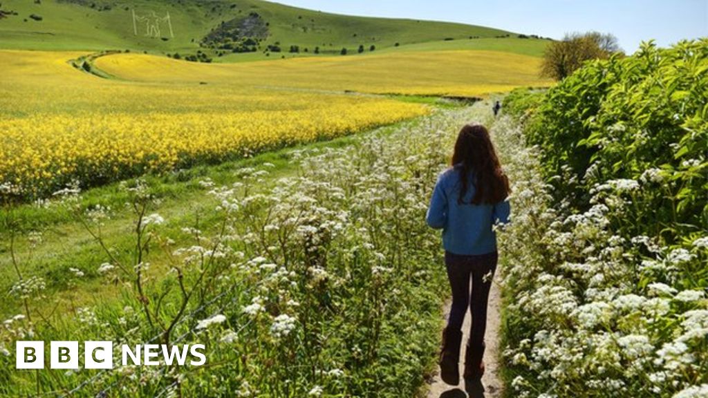 Ramblers launch app for 'biggest-ever' footpath survey - BBC News