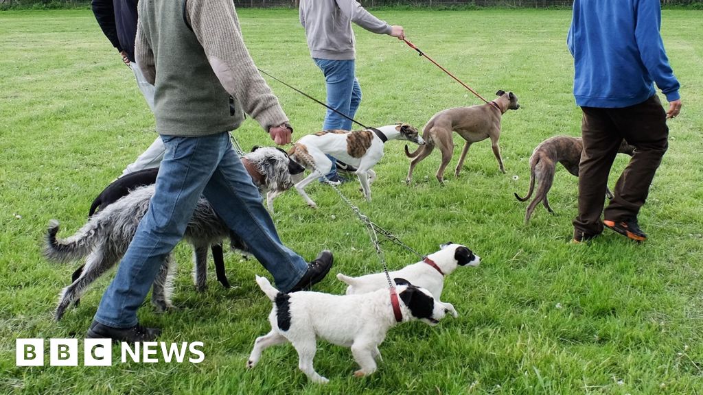 Surrey: Professional dog walkers to pay £365 to use commons
