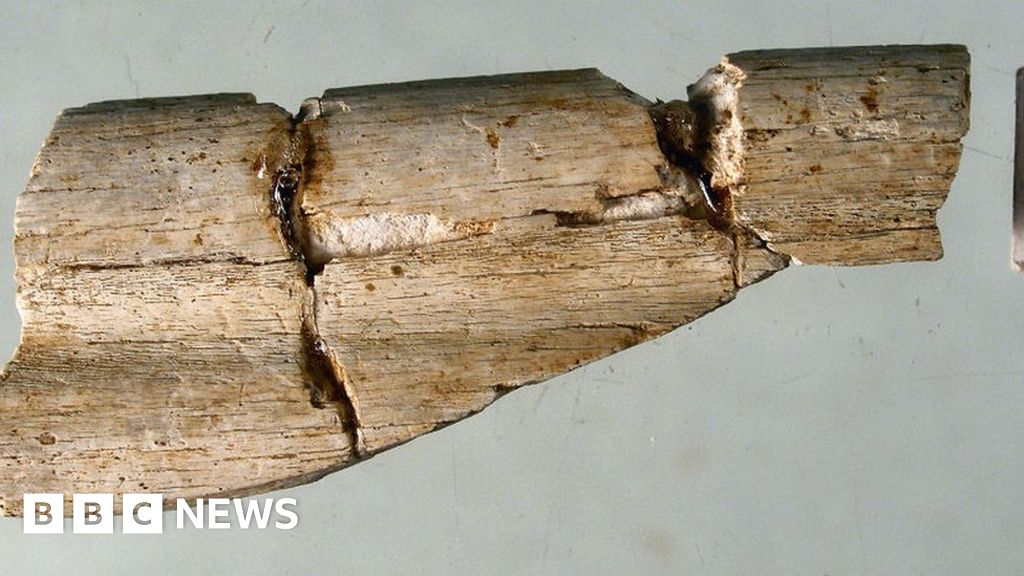 Durham archaeological dig reveals 'earliest resident'