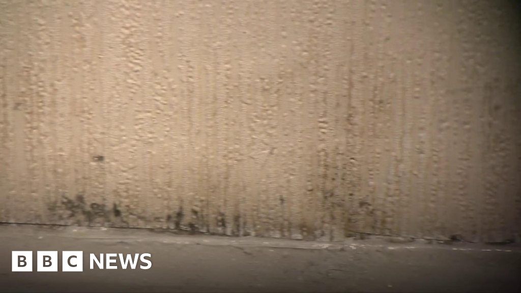 'Horrendous' scale of cavity wall insulation problems - BBC News