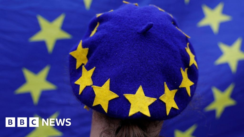 Where do the main parties stand on Brexit? - BBC News