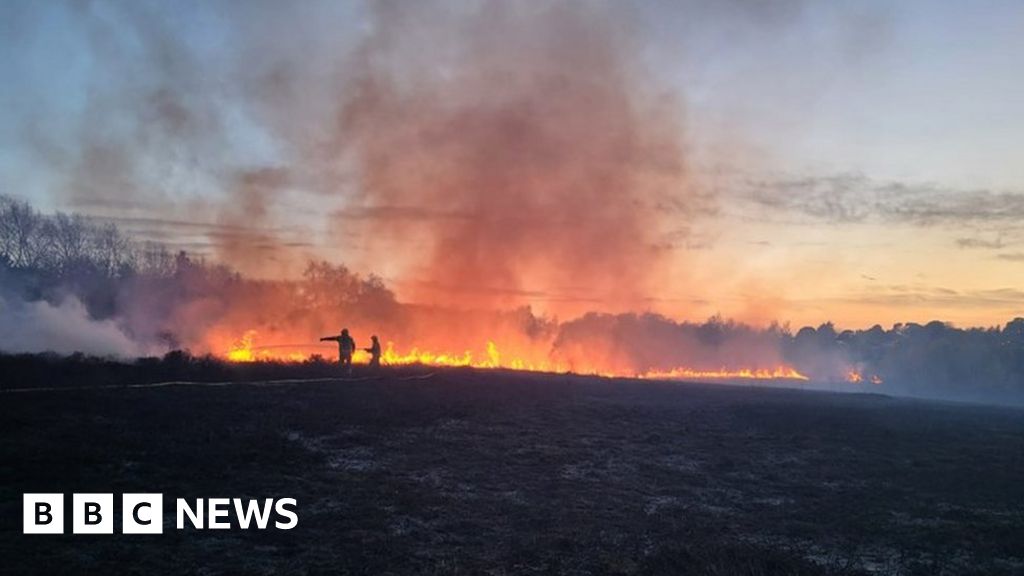 Dorset heathland fires: Sixth incident in four days