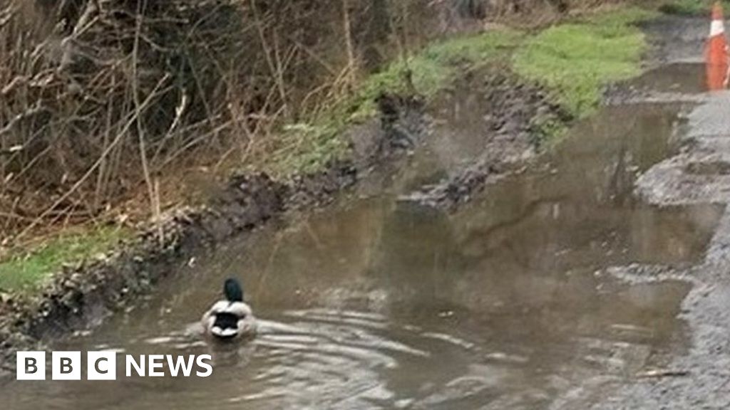 Horsham pothole 'deep enough for ducks' - BBC News