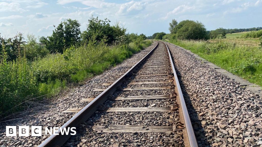 Train hits illegally dumped trees, causing delays - BBC News