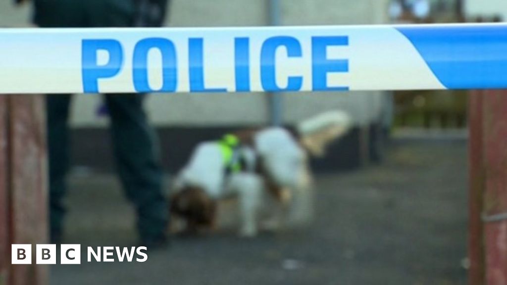 Marcell Seeley: Mark Ward to deny Craigavon murder charge - BBC News