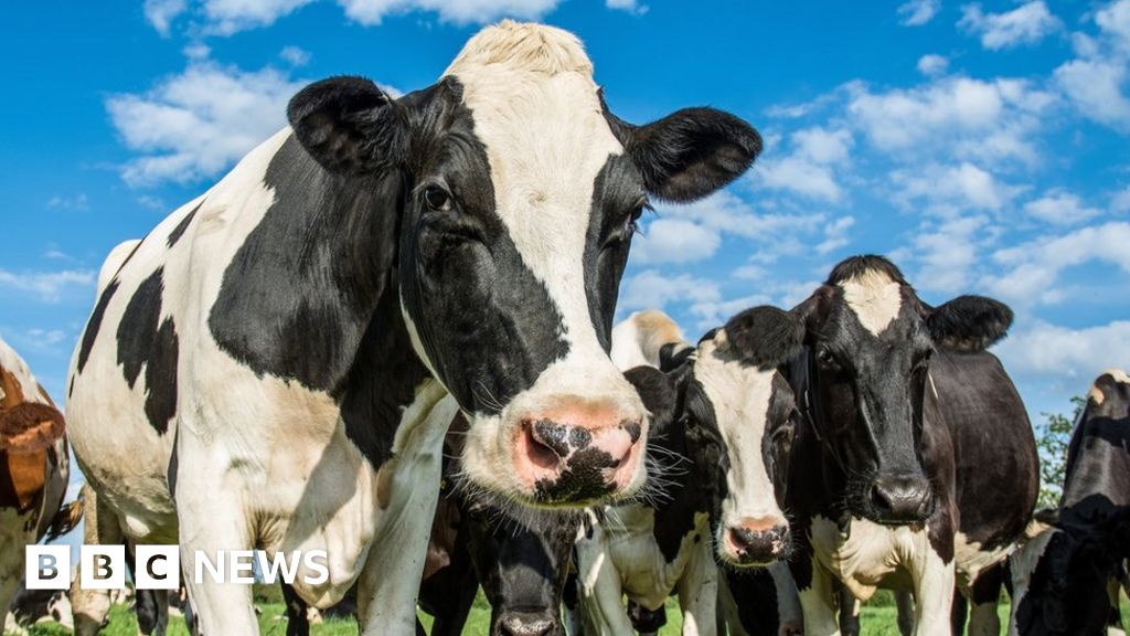 Climate change: New law in Northern Ireland aims for net zero by 2050