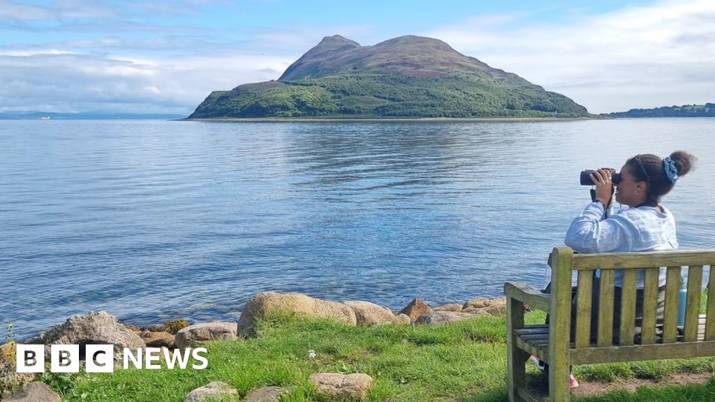 Arran boat monitoring to research effect on marine life - BBC News